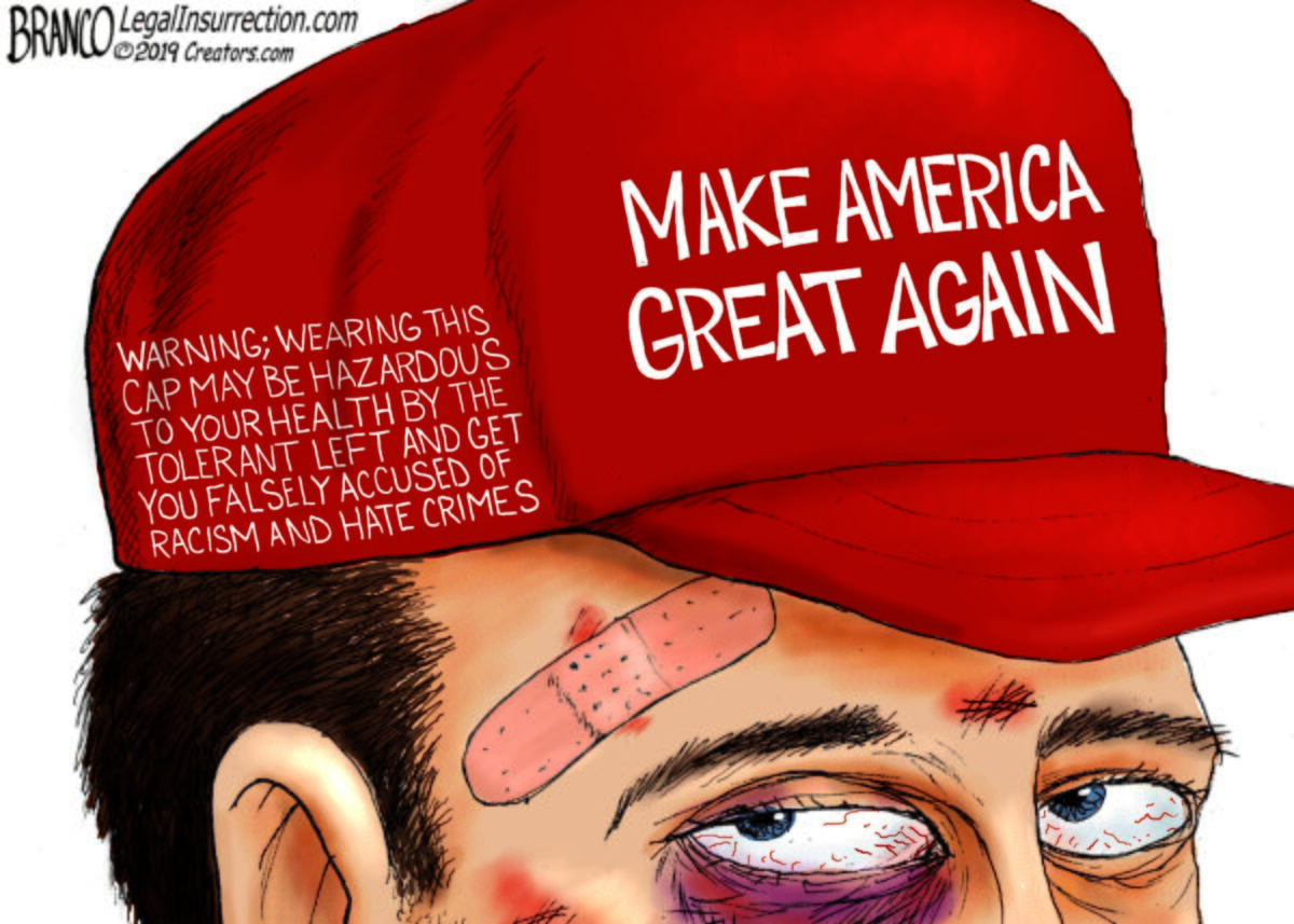 Cartoon: MAGA | News, Sports, Jobs - Daily Herald